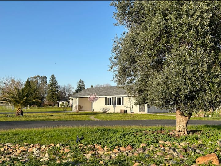 "The Cottage" At Dd Farms - Orland, CA