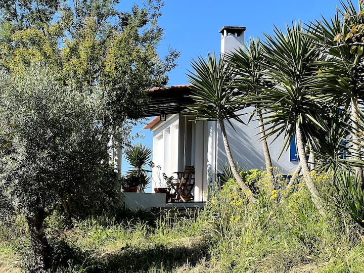 Moinhos Do Paneiro, Casa Nelia Mit Ausblick - Sines