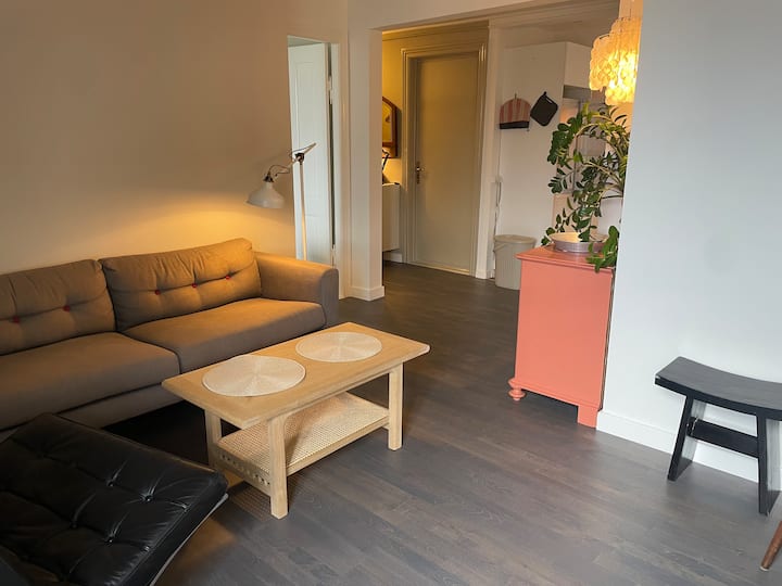 Central, Cozy, Unique Apartment - Kodaň