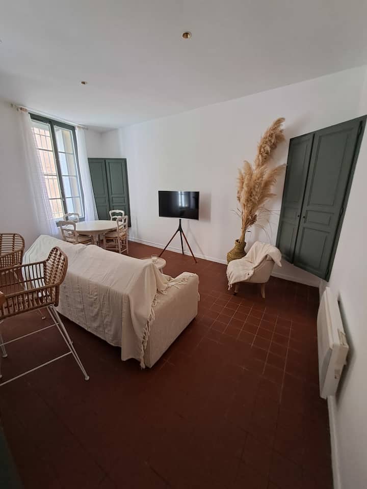 Hypercentre, Appartement Coquet En Rez-de-chaussée - Perpignan