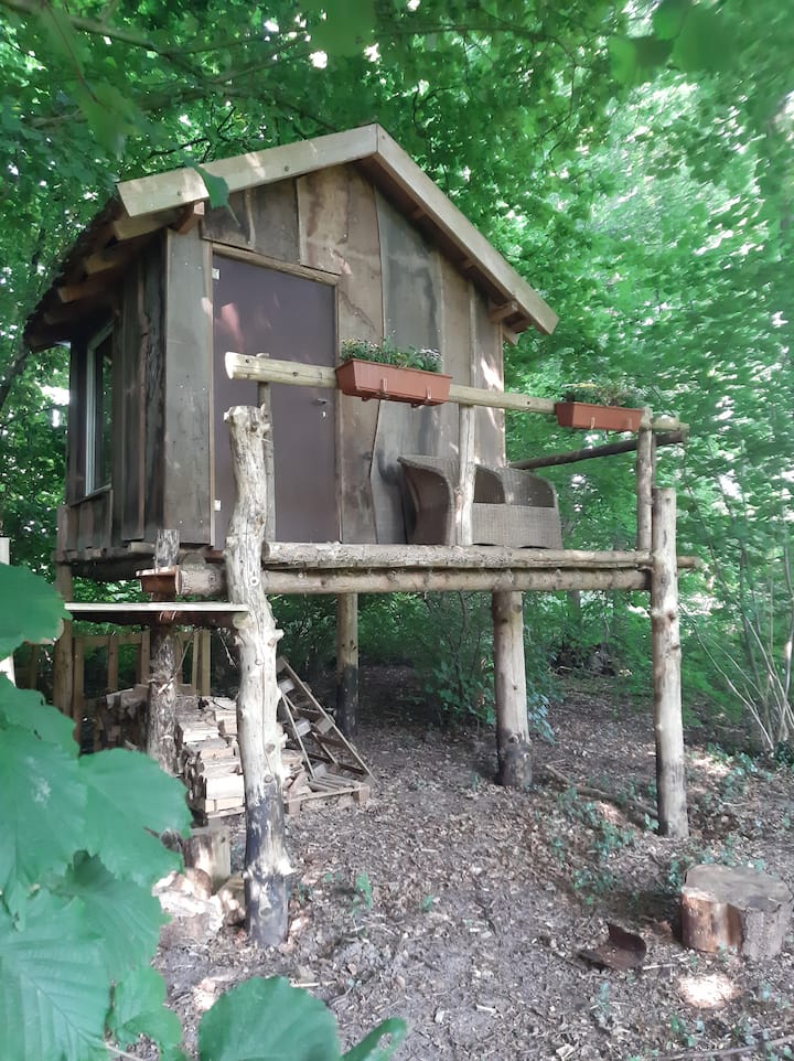 Baumhausnächte - Greven