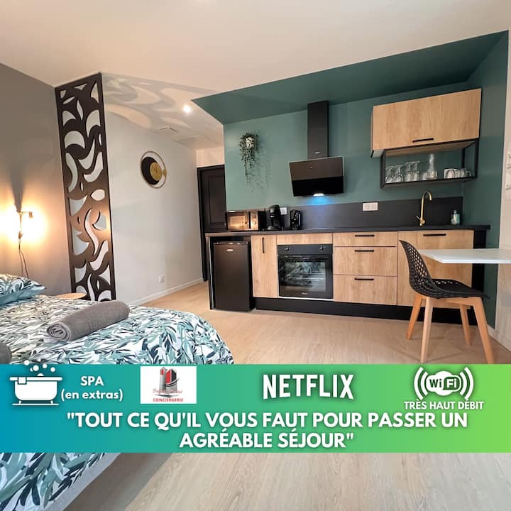 La Feuilleraie N2-standingappart-wifi-proche Ville - Fontenay-le-Comte