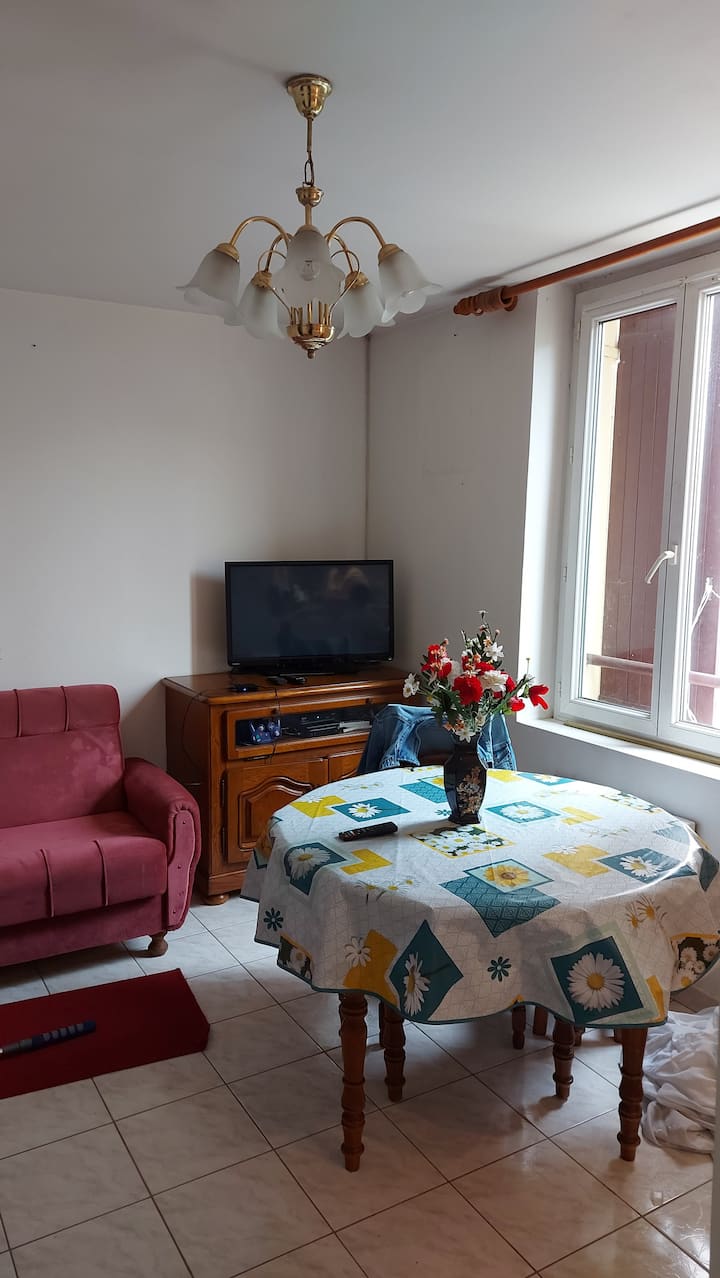 Appartement Proche De Paris - Saint-Maur-des-Fossés