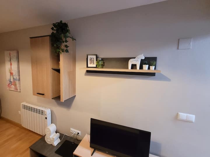 Apartamentos Miñor - Proaza