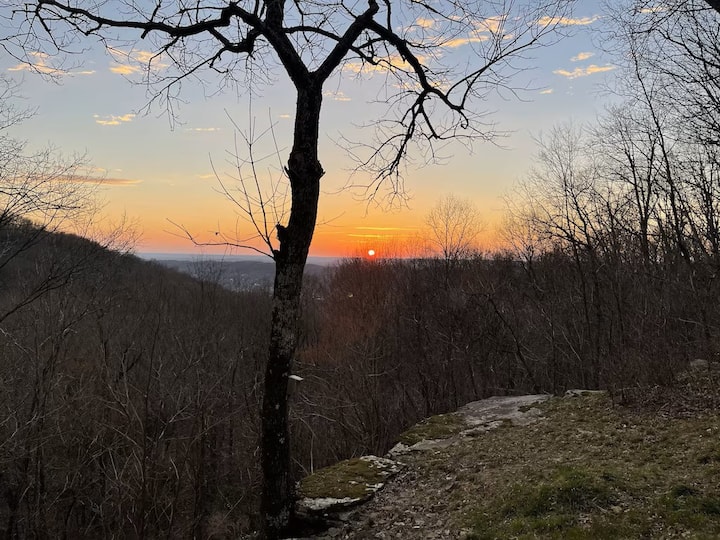 Shady Lane. Mountain Brow Getaway! - Alabama