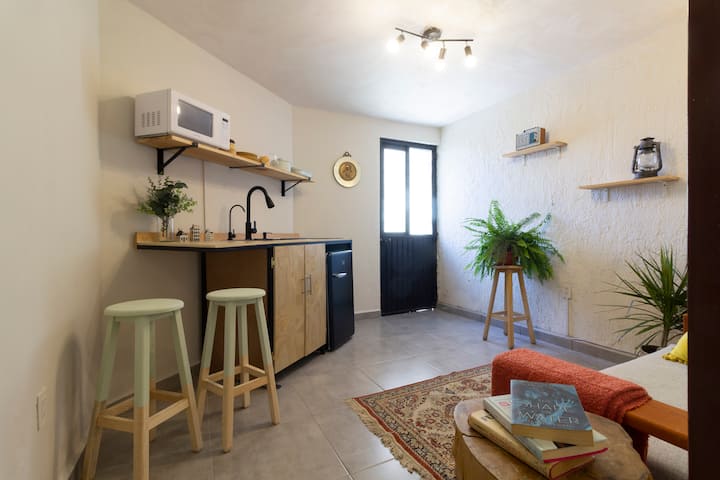 Loft Acogedor, Privado Y Exc Ubi. - Celaya