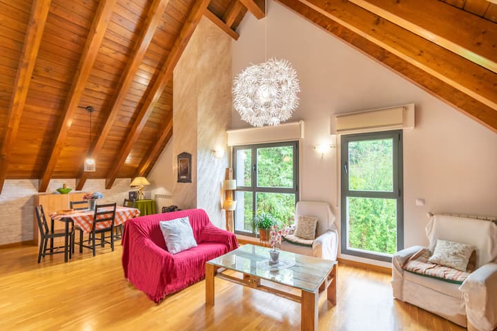 Amplio Y Acogedor áTico Rodeado De Naturaleza - Saint-Jean-Pied-de-Port