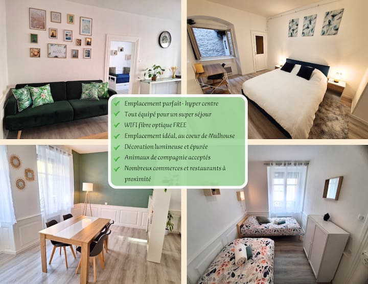 Urban Green Spirit - Clair & Spacieux/hyper Centre - Mulhouse