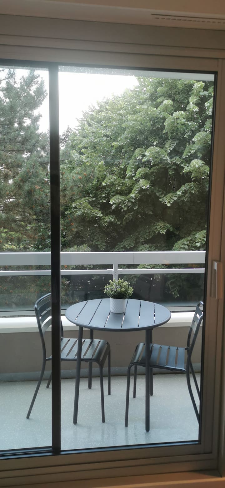 Studio Lumineux Et Calme Avec Balcon - Vanves