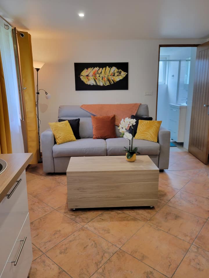 Strasbourg- Sud. Studio Plain- Pied Avec Terrasse - ibis budget Strasbourg La Vigie
