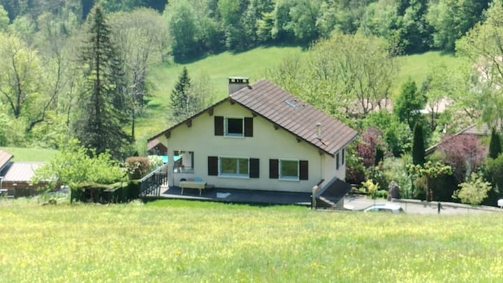 Annecy Lac Et Montagnes - Annecy-le-Vieux
