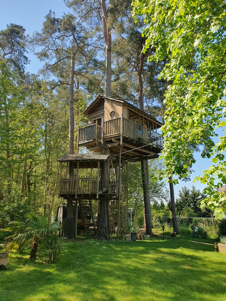 Cabane Perchée - Haute-Normandie