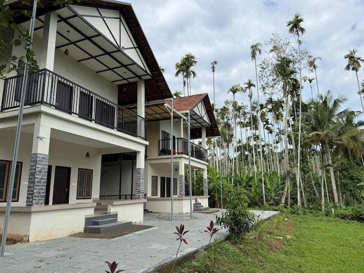 Caffeine Beans - Budget Friendly - ワイナード