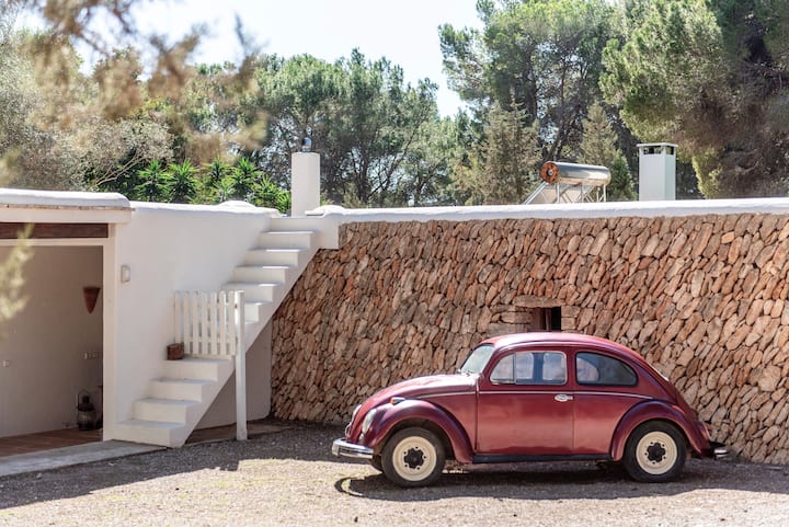 Villasatanca/puig D'en Vall/6bedrooms/tennis Court - Île de Ibiza