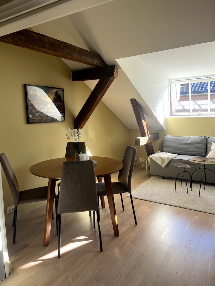 Koselig Leilighet - Oslo