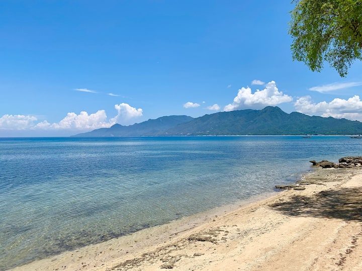 A 12 Bedroom Beach House & Pool - Laiya