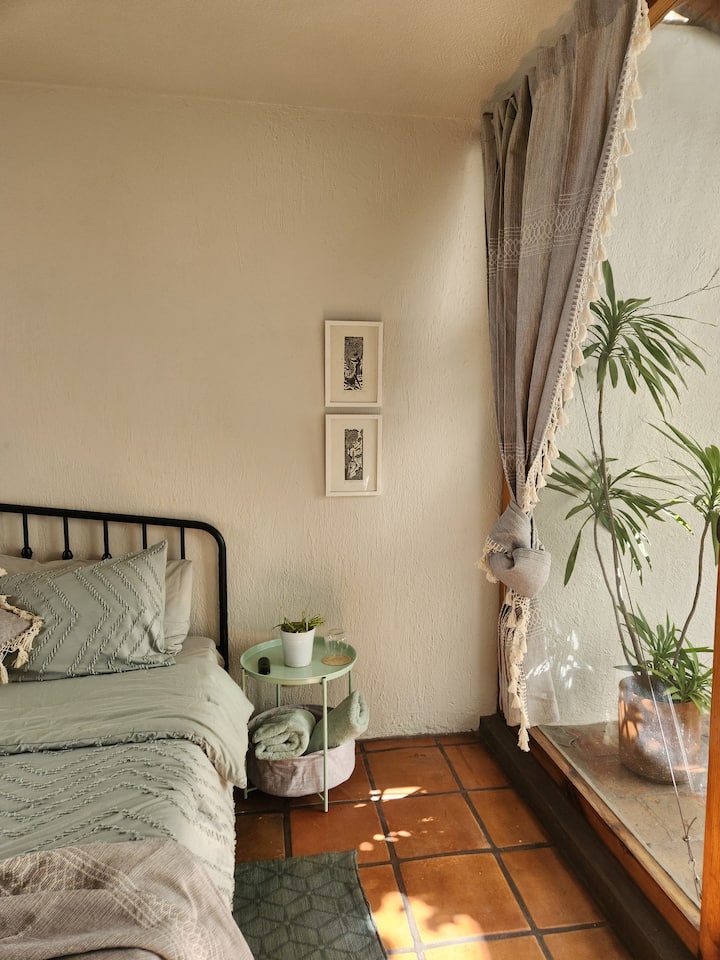 Cozy Mexican House In The Best Neighborhood - メキシコ グアダラハラ