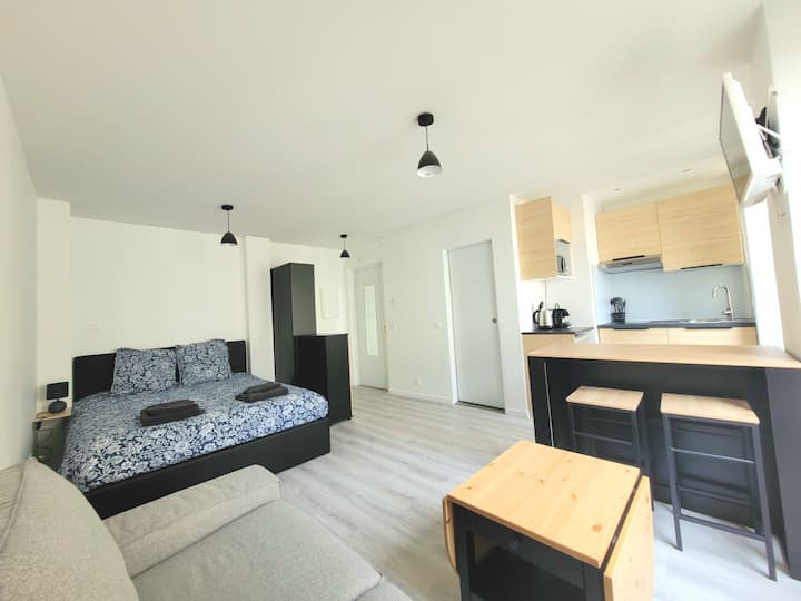 Studio Centre Cannes - Cannes