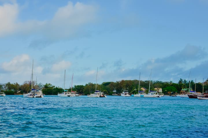 Seavilla (Stunning Views , Garden ,Pool) - Mauritius