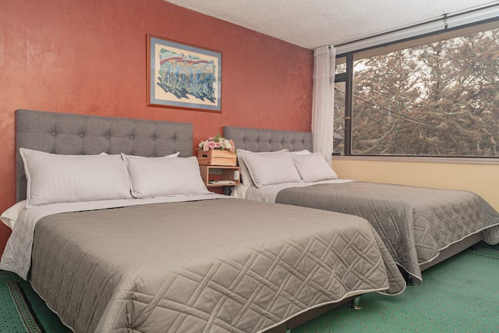 Innovar Casa Hostel In The Heart Of Bogotá - Bogota