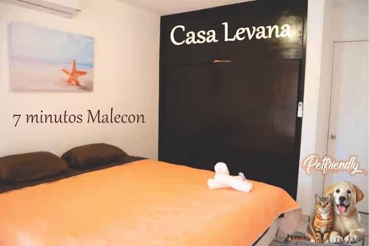 Casa Económica Y Cerca De Malecon, Imss Y Centro. - La Paz