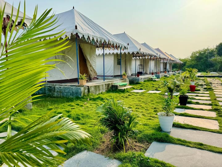 Murali Guesthouse Hampi - 1 - Hampi