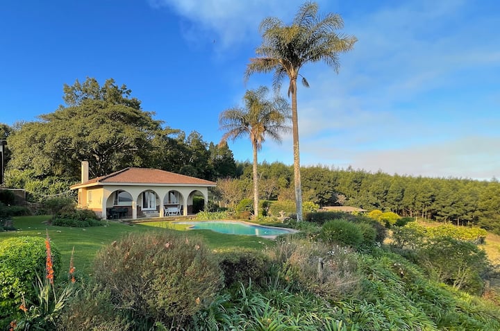 Country View Cottage - Greytown