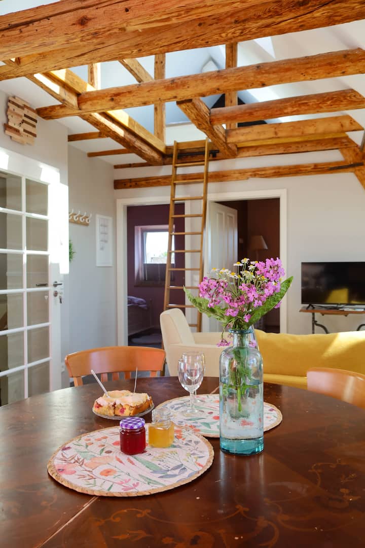 Land-loft: Mosel, Burg Eltz, Eifel, Koblenz - Münstermaifeld