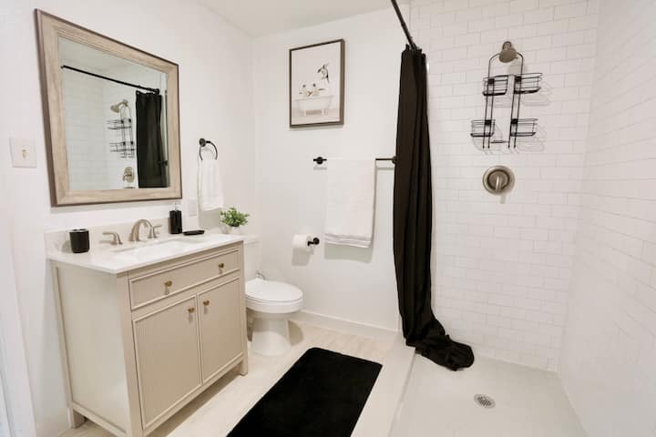1br 1ba Central Med Apt - San Antonio, TX
