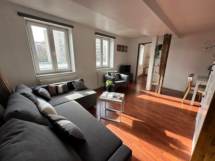 Spacieux Et Chaleureux 2 Pièces Gare-petite France - Strassburg