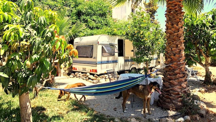 Caravan In Finca Molino In Almayate For Dog Lovers - Vélez-Málaga