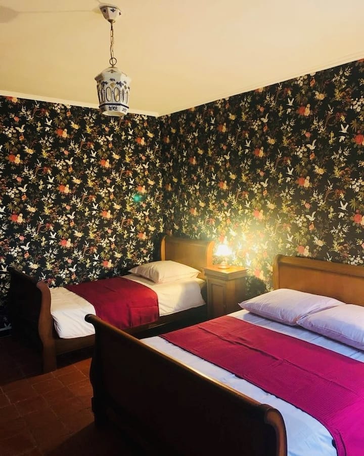Chambre Banshee - La Babayaga (Maison D'hôtes) - Capestang