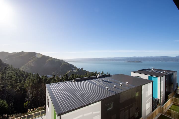 Top Of Nauranga Gorge - Wellington