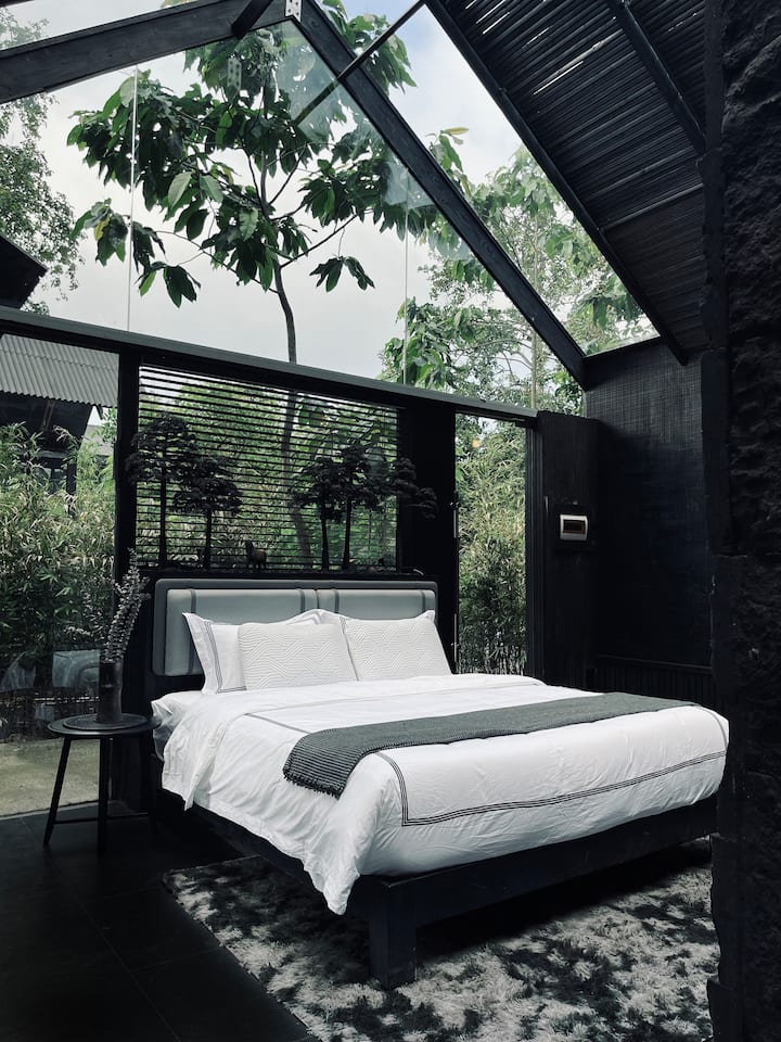 Pine Glass Cabin Amid The Forest - Alfonso