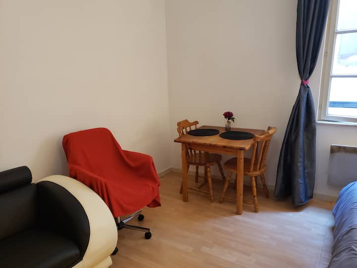 T1 Hyper Centre Au Calme - Illkirch-Graffenstaden