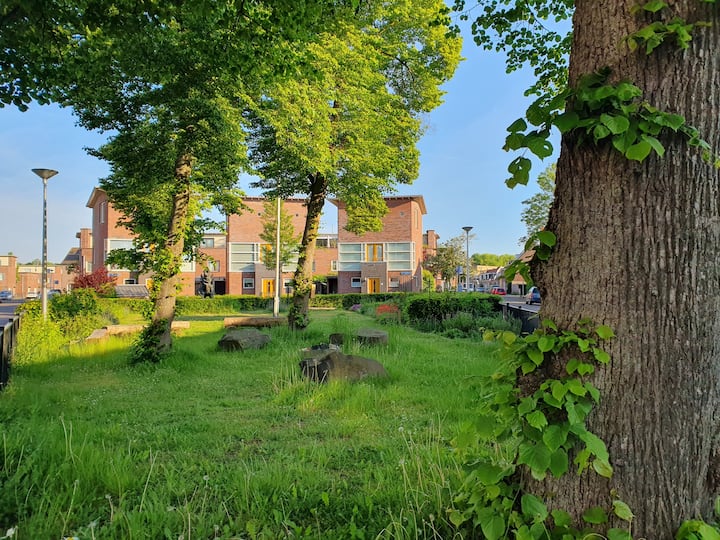 Villa In Centrum Van Zwolle - Zwolle