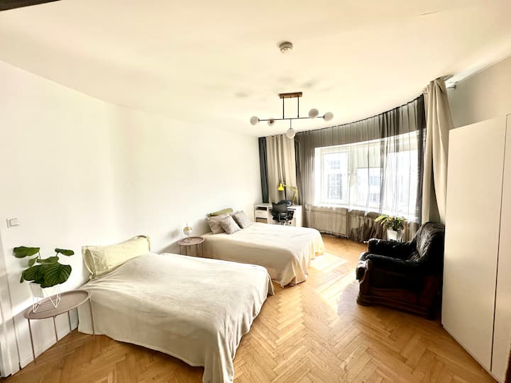 Penthouse Opp. American Embassy On Kentmanni Str - Tallinn