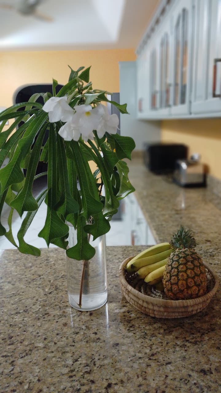 Kay Marni: Your Saint Lucian Home - Saint Lucia