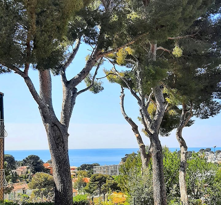 Maison Bord De Mer Au Calme Sous Les Pins - Carry-le-Rouet