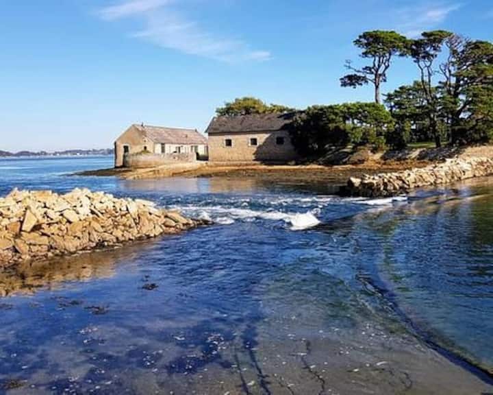 Appartement 50 Mètres De La Mer. - Larmor-Baden