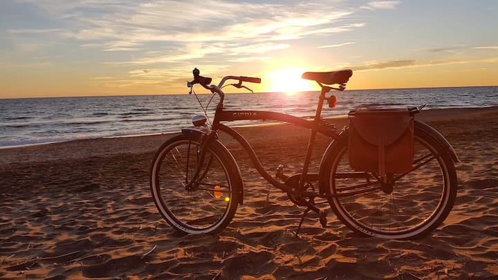 Domus Latina - Latina