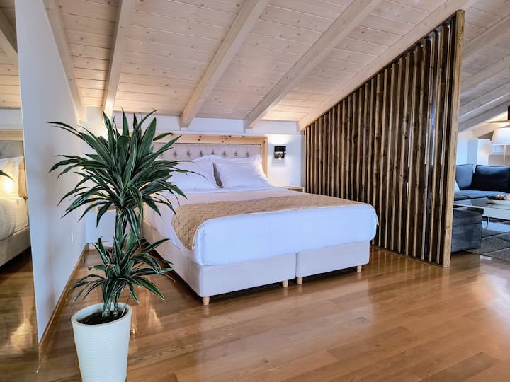 La Loft Luxury Apartment - Превеза