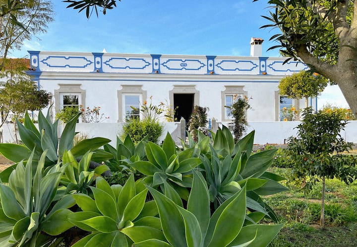 Côté Jardin, Mendigo - Tavira