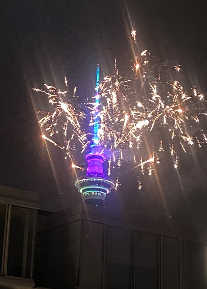 Viaduct Harbour Studio - With Skytower View - Auckland