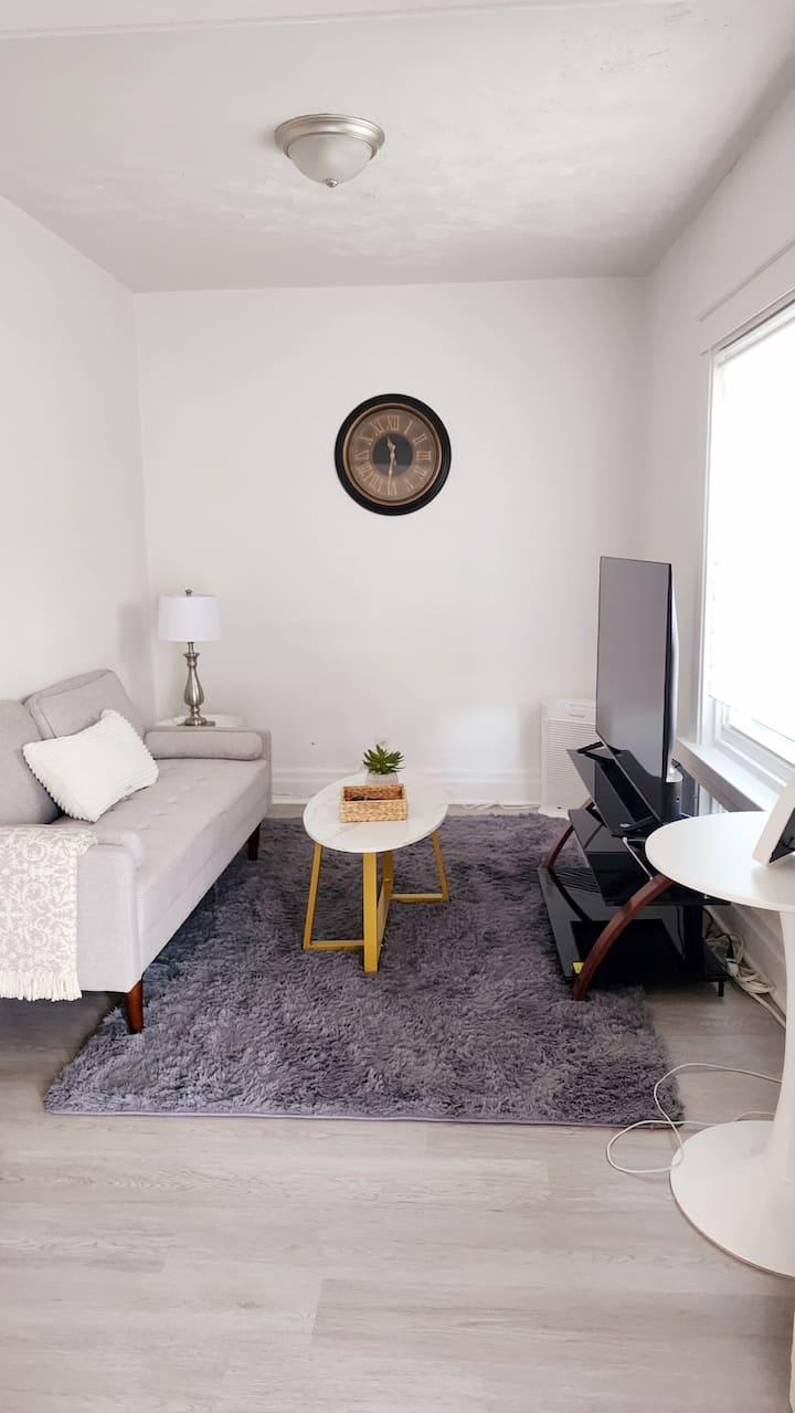 Renovated 2 Bedroom Unit - Usa Side - Niagara Falls