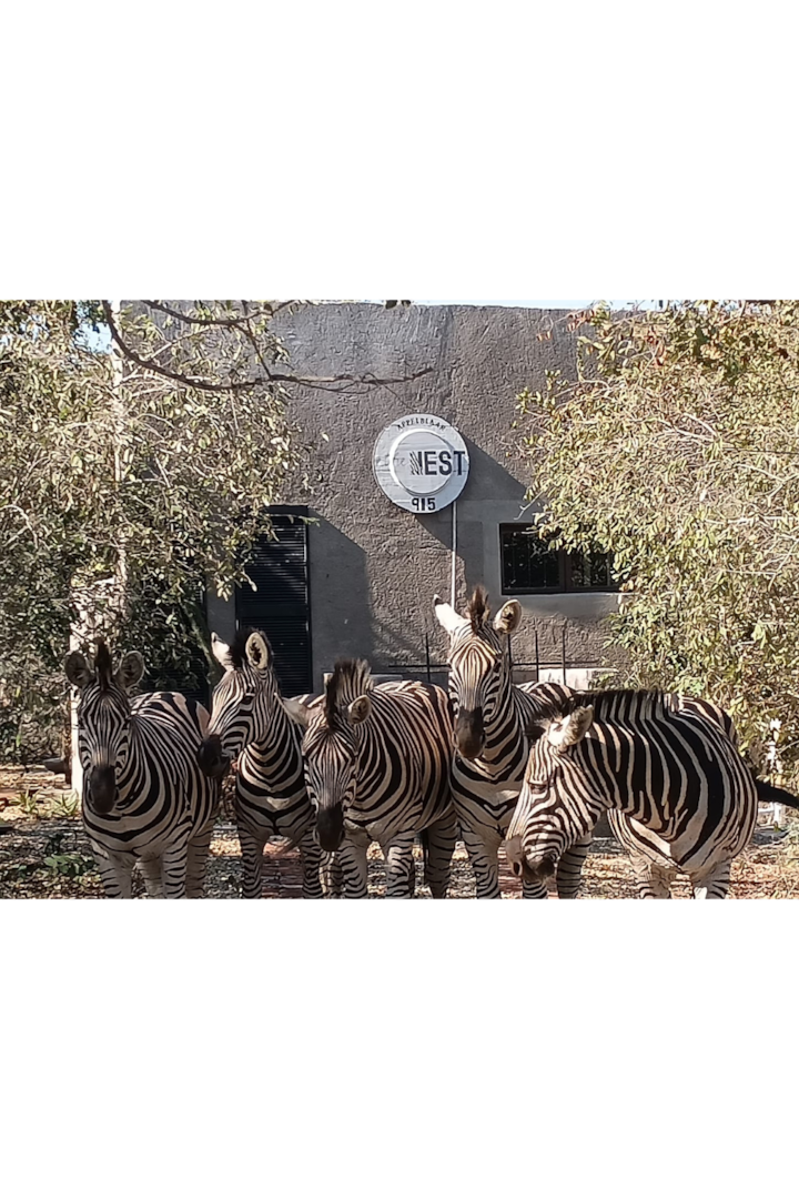 The Nest - Marloth Park - Marloth Park