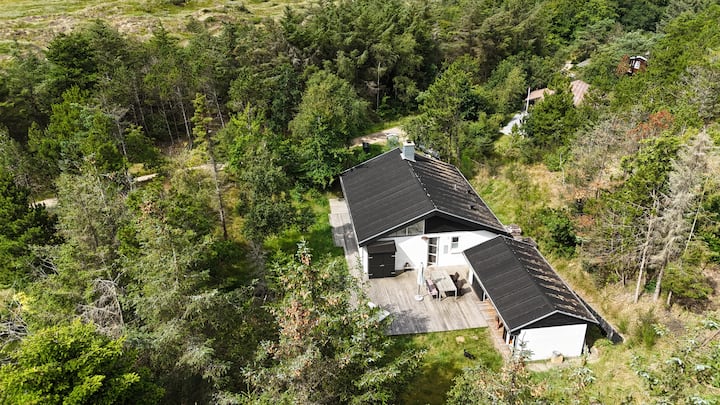 Blokhus Klitplantage - Blokhus