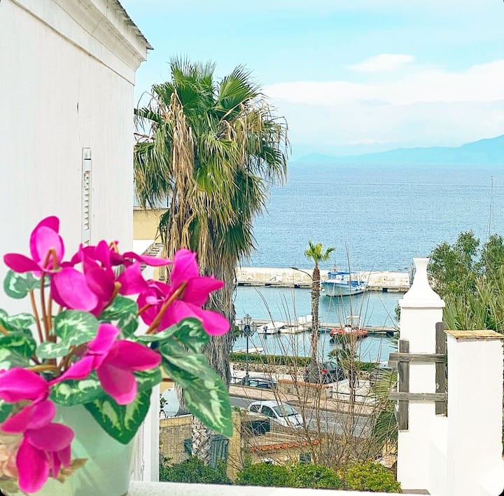 Euploia Apartment - Lacco Ameno