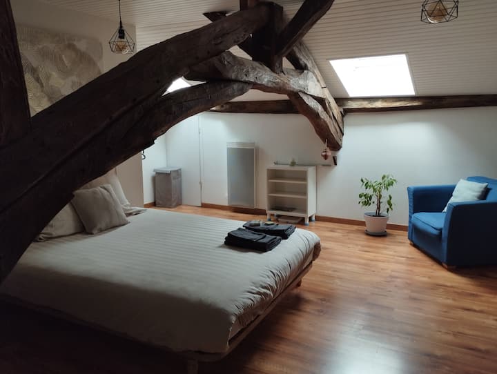 Chambre Climatisée Dans Un Appartement De Charme. - Châtillon-sur-Chalaronne