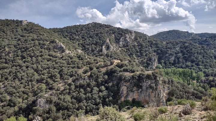 El Pinar De La Lobera El Lobo - Puebla de Don Fadrique